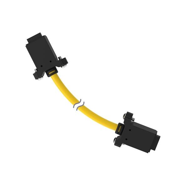 Cordset: Double Ended Ls-custom; 12-pin Straight Female; 12-pin ...