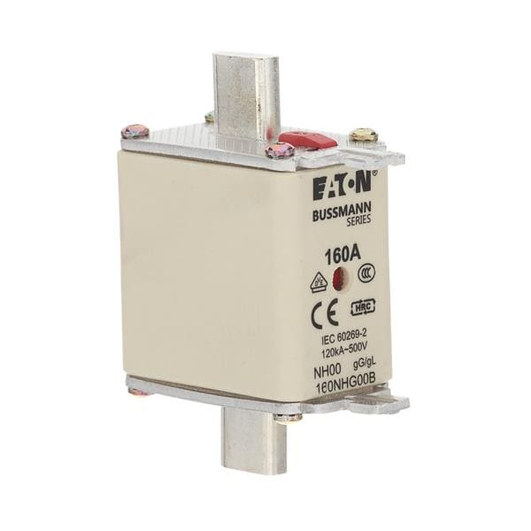 160a 500v Gl/gg Size 00 Dual In - 160NHG00B