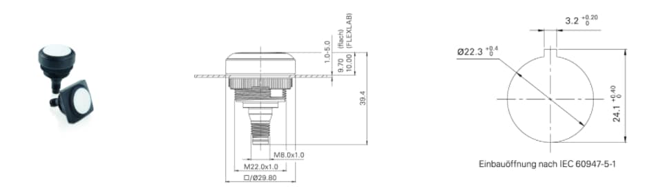 RAMO Illuminated Pushbutton Switches - RAFI | Mouser