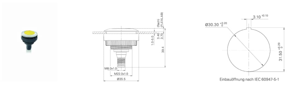 RAMO Illuminated Pushbutton Switches - RAFI | Mouser