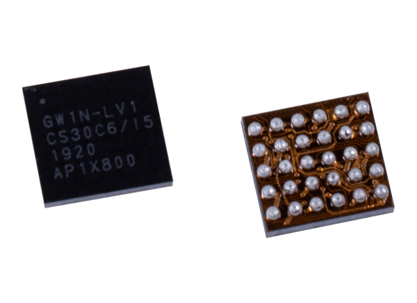 LittleBee® GW1N-1 FPGAs - GOWIN | Mouser