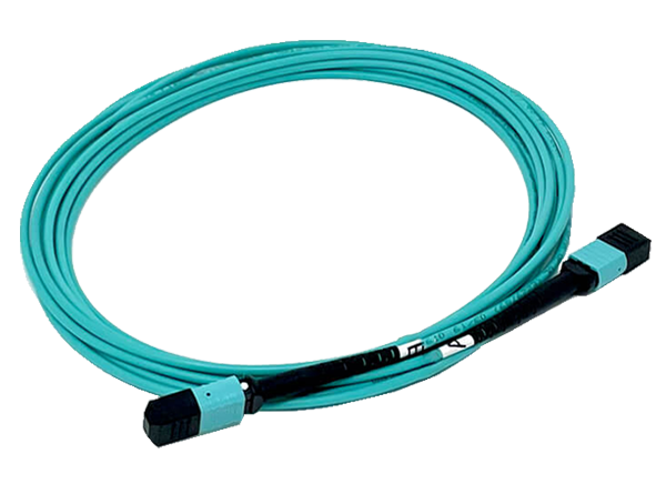 MPO/MTP Singlemode & Multimode Fiber Patch Cables - Megladon ...